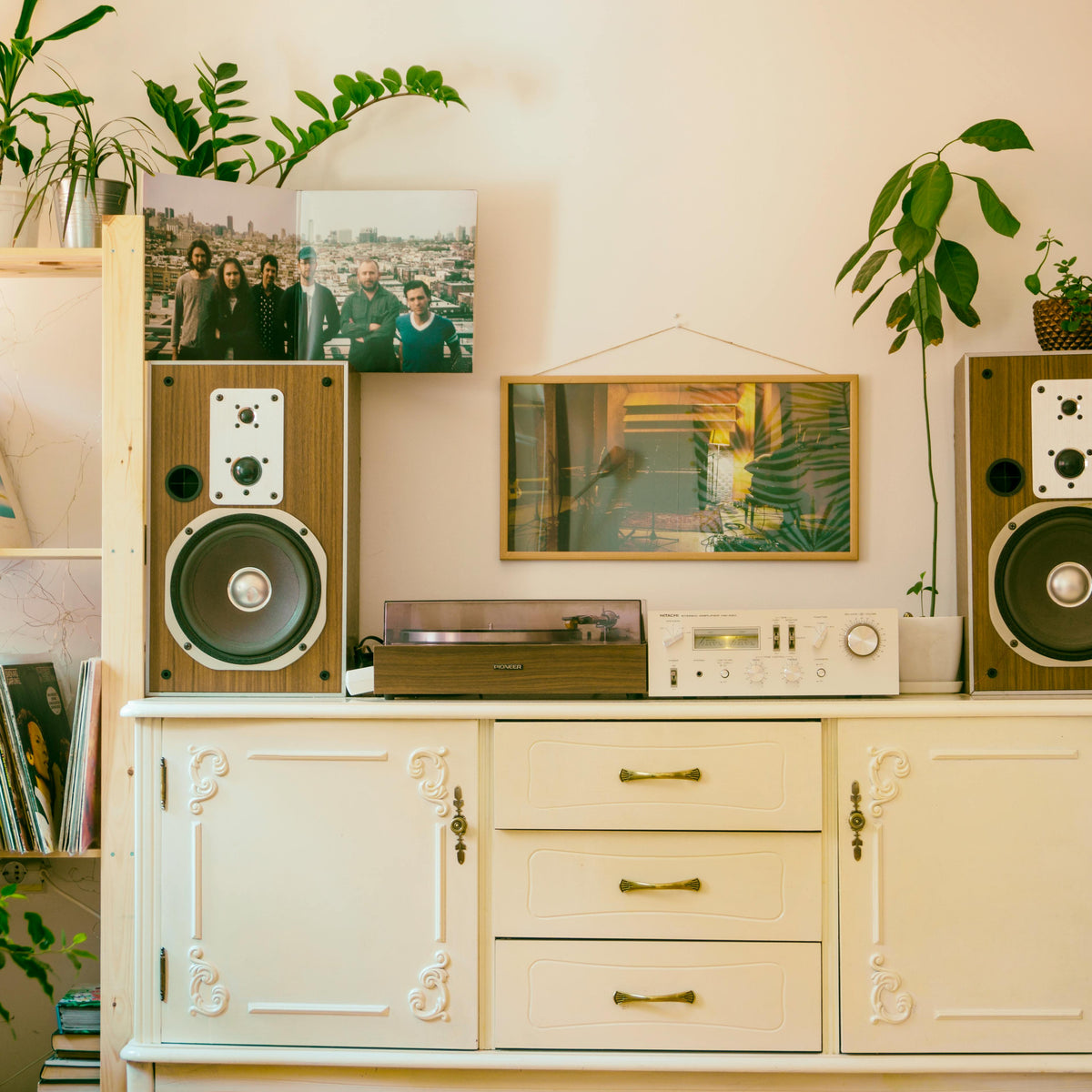 Indoor Plants – Millie's Plants